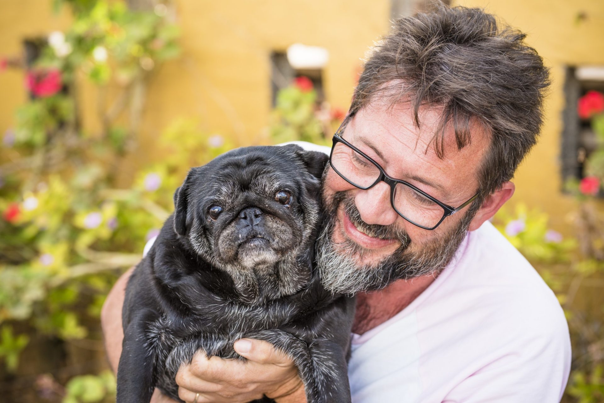 MuddyDugz | MuddyDugz Boarding Kennels